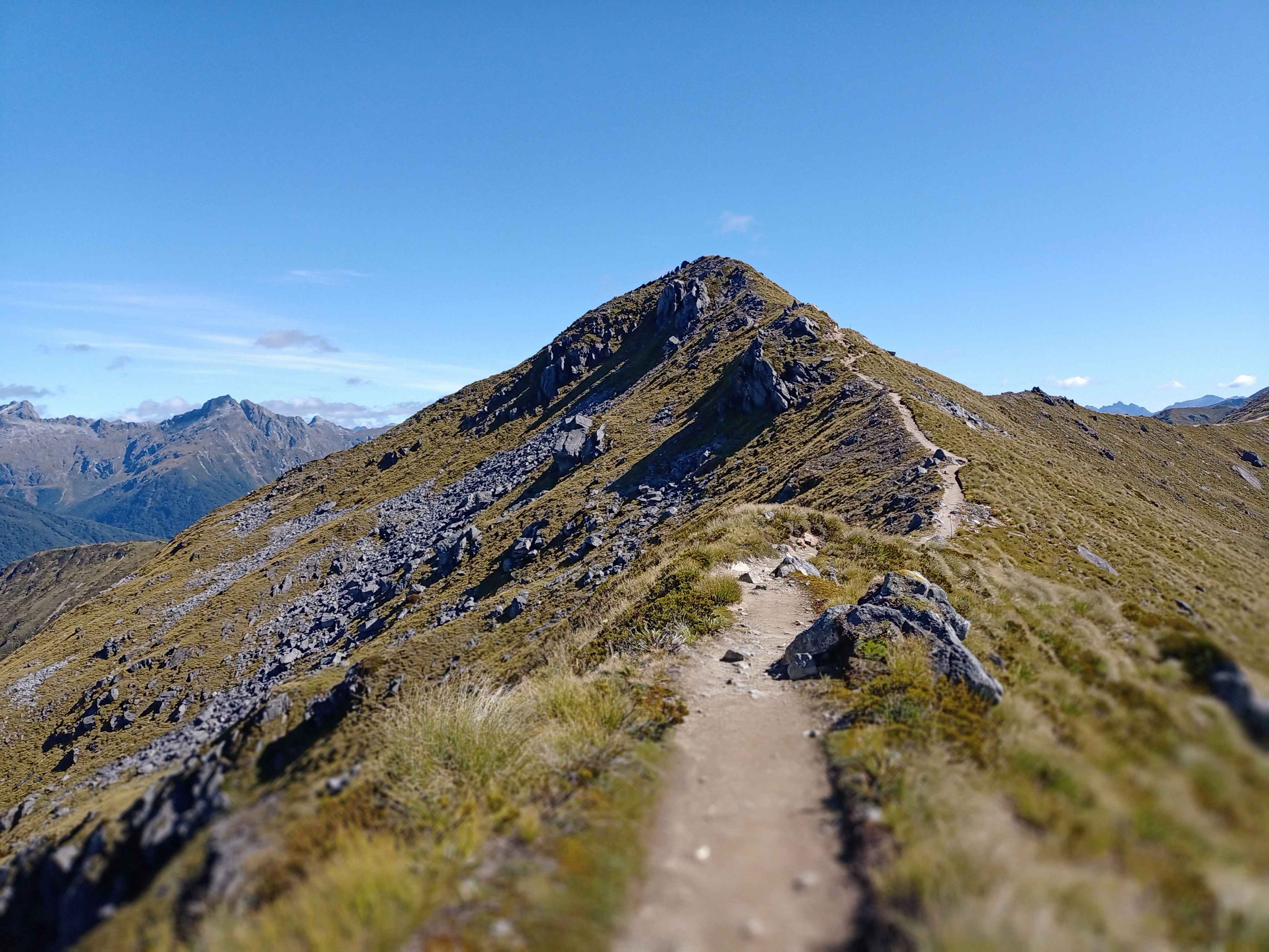 The Kepler Track: Just Divine Views - A Maverick Traveller