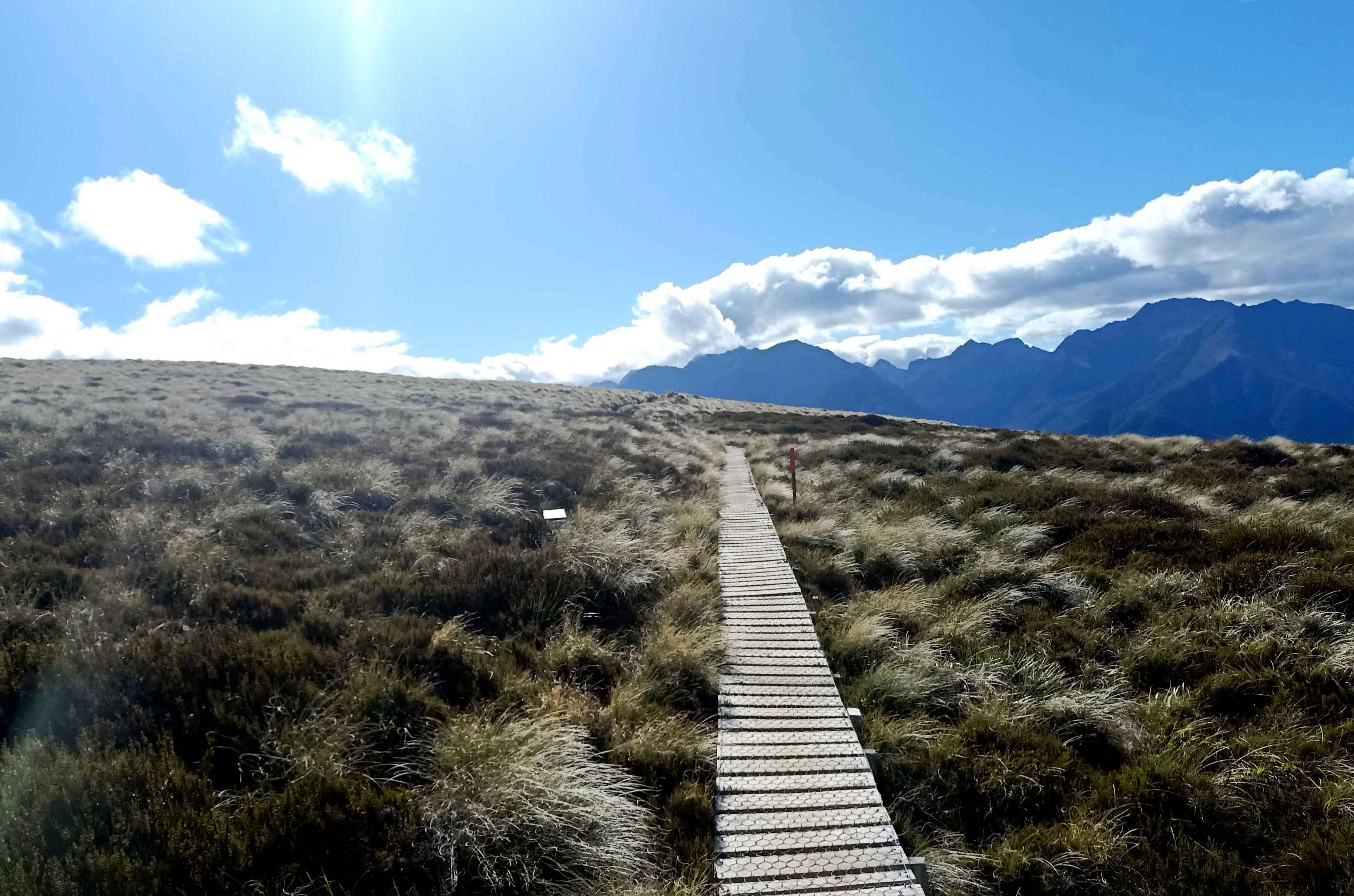 The Kepler Track: Just Divine Views - A Maverick Traveller