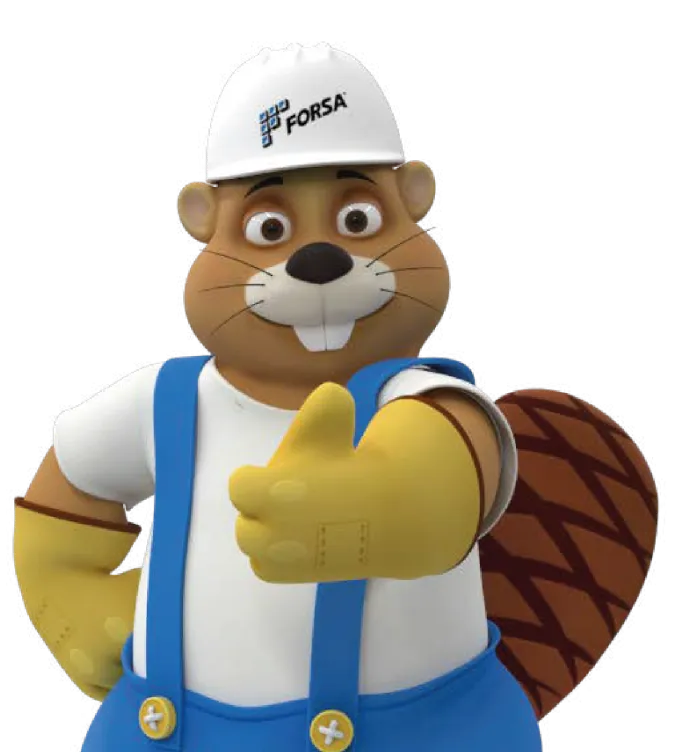 Forsa | Plataforma de reconocimiento