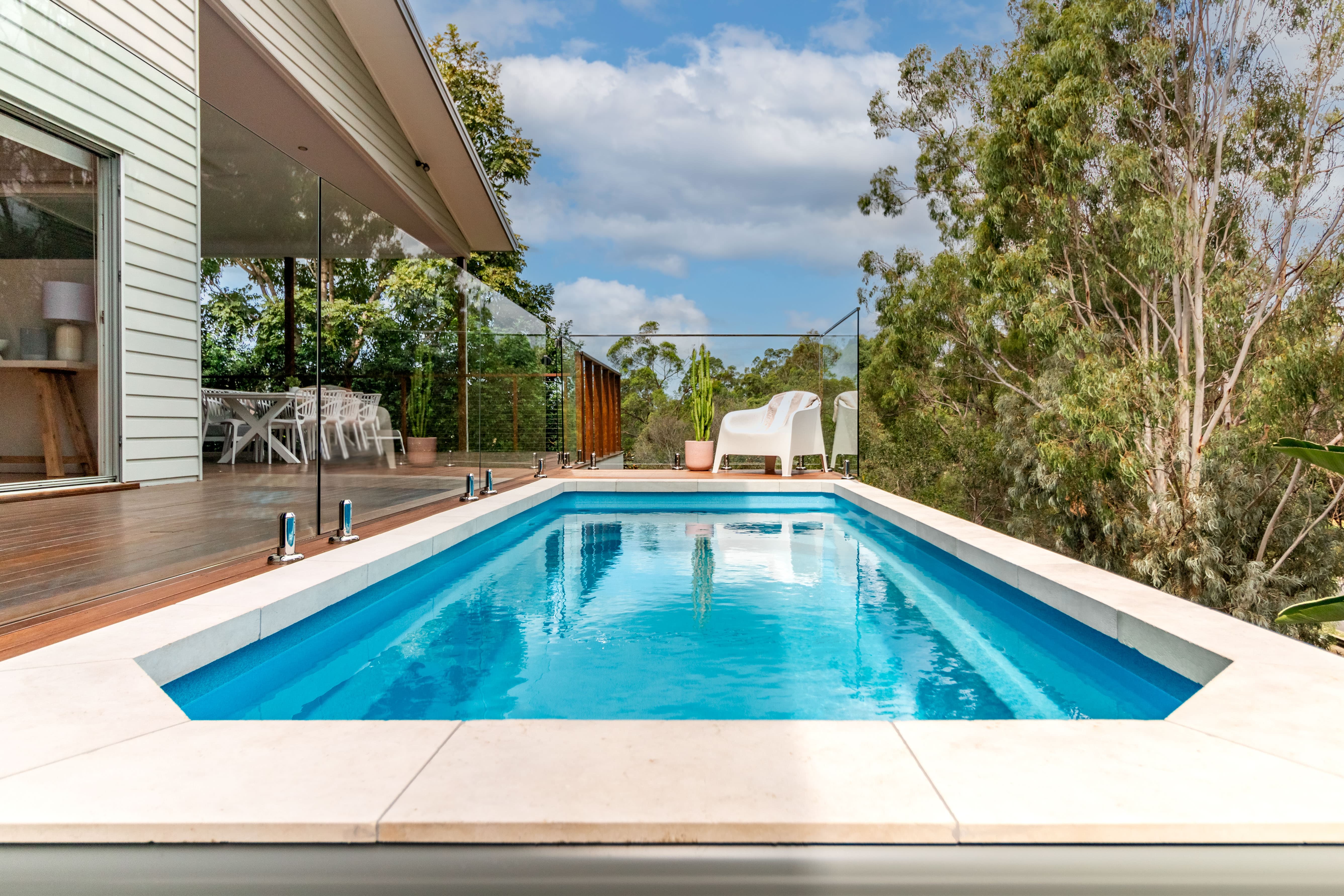 Discover The Benefits of Dippy