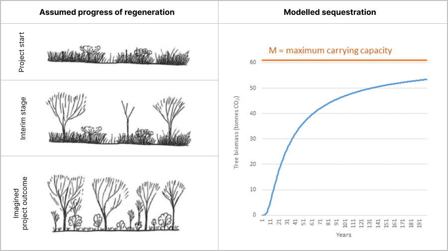 Human-Induced Regeneration - Carbon Integrity Explorer