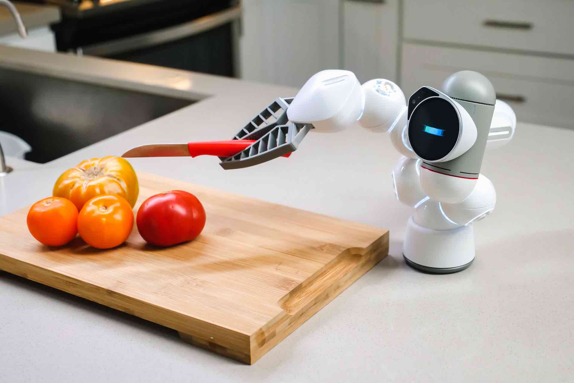 Mana Robotics | Truly Capable Robots For The Home