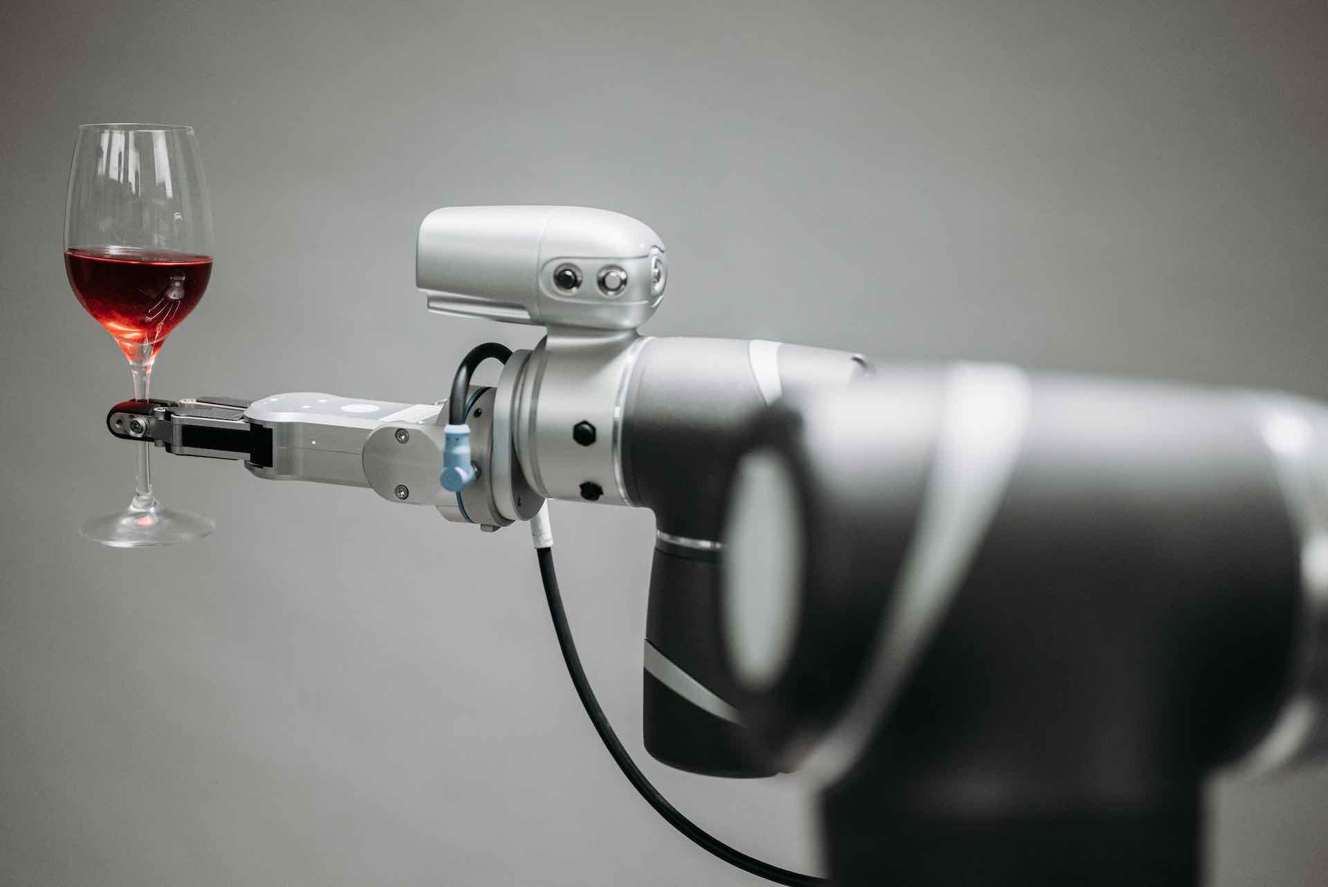 Mana Robotics | Truly Capable Robots For The Home