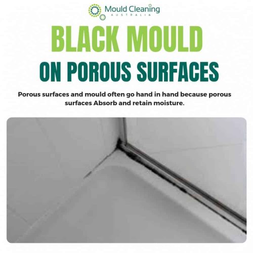 Black Mould Removal
