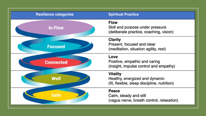 Resilience Institute | What is Spirit in Action in Resilience Spiral Part 3