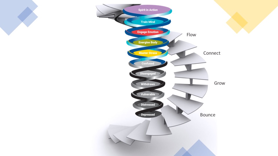 Resilience Institute | Our History of Resilience