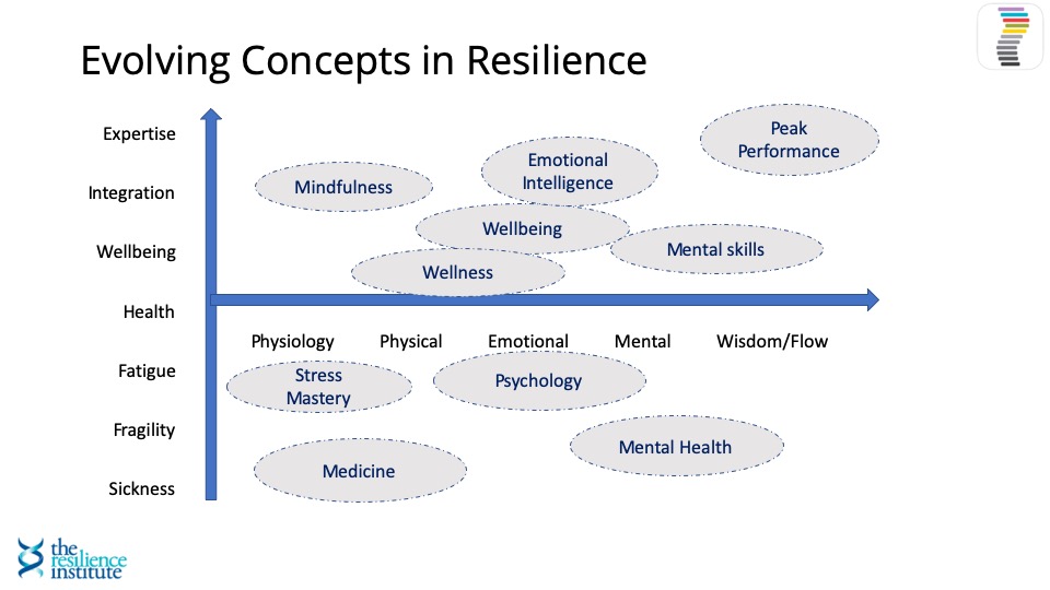 Resilience Institute | Our History of Resilience