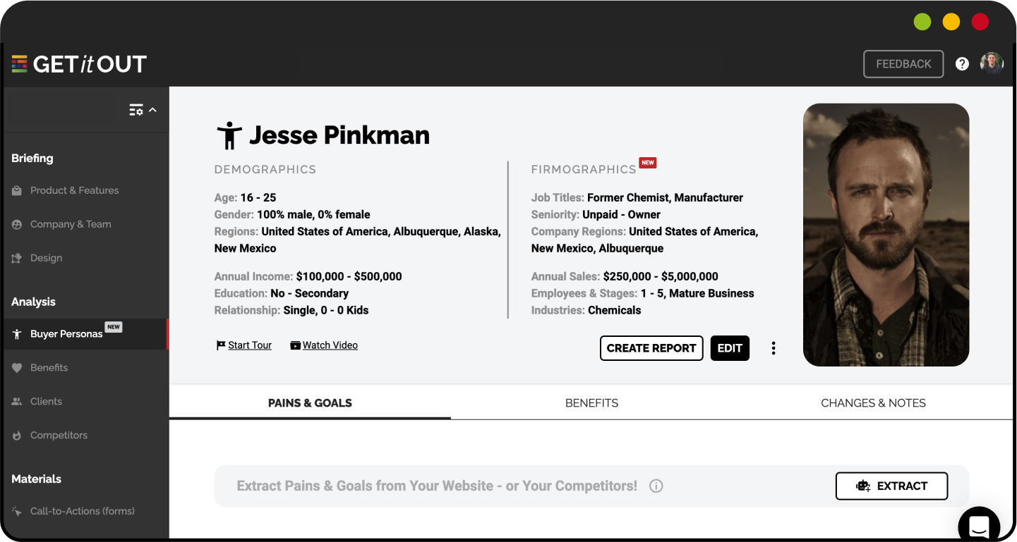 Jesse Pinkman | Iconic/Famous Buyer Persona Template