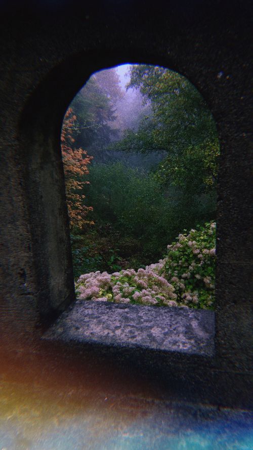 Afterlight Collective | Photo and Video editing for Mobile