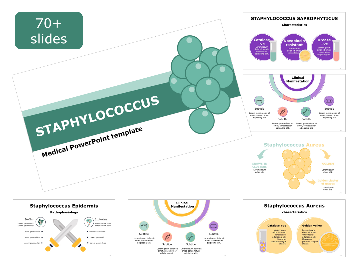 Bacteriology PowerPoint Template - RxSlides - The largest online store ...
