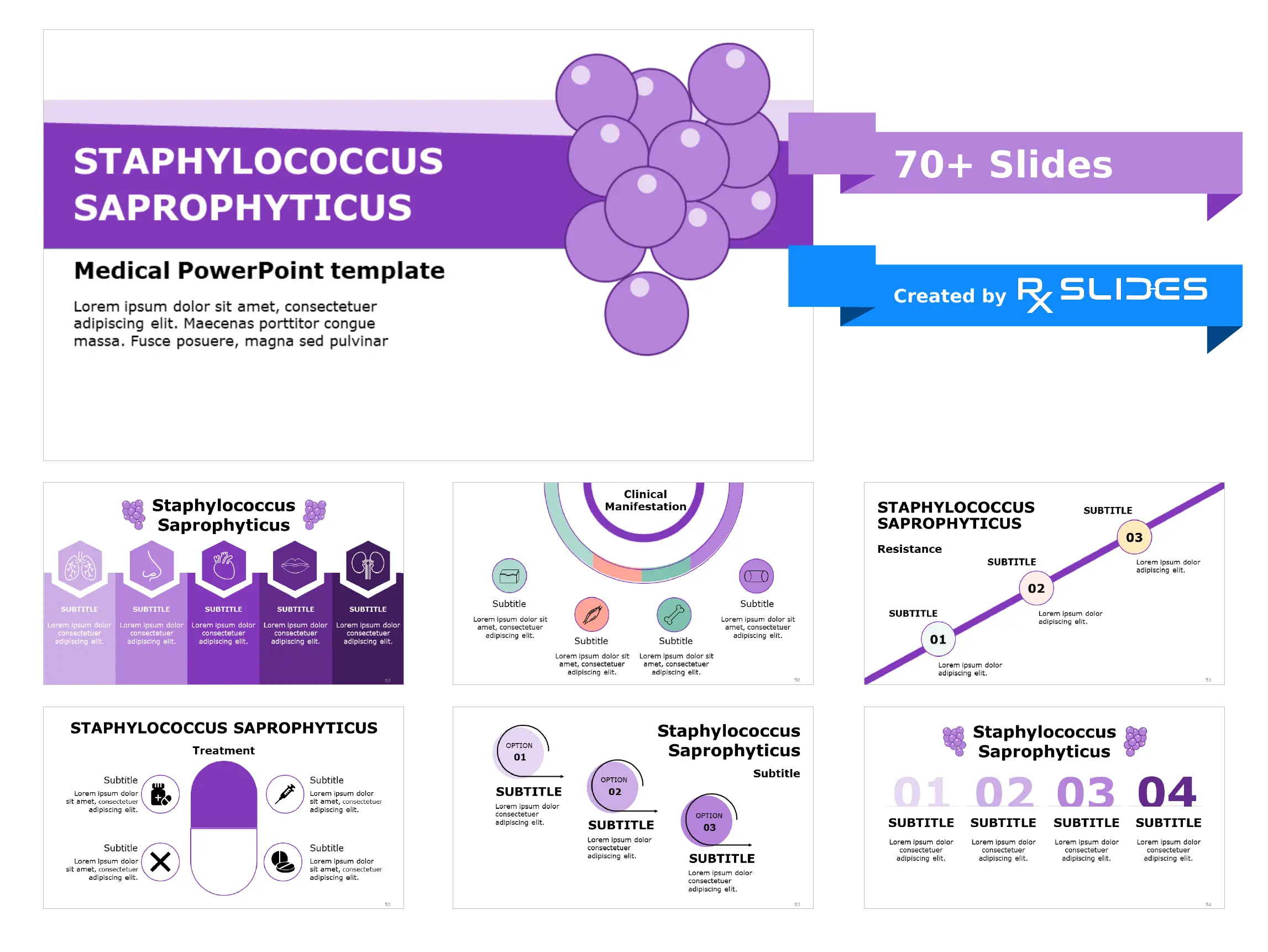 Staphylococcus PowerPoint Template | RxSlides The largest online store ...