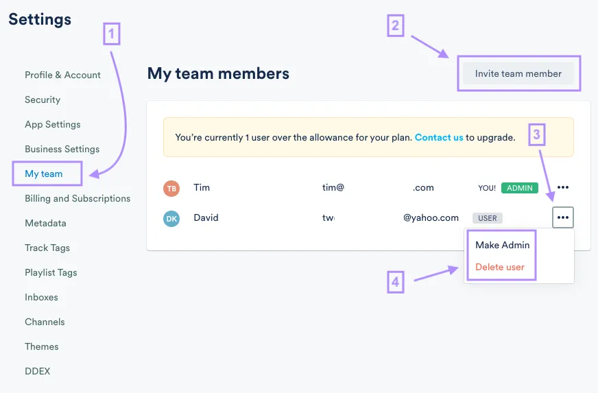 Team Management Settings