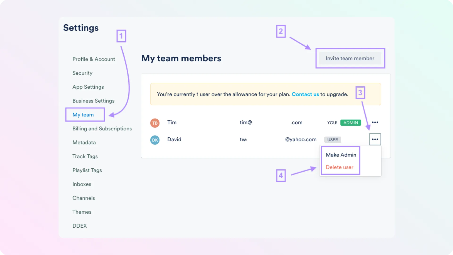 Team Management Settings