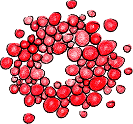 Steinkreise von Corina Friedrich