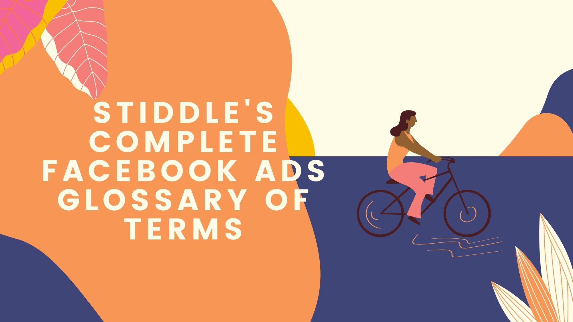 Stiddle's Complete Facebook Ads Glossary of Terms [Best Glossary ...