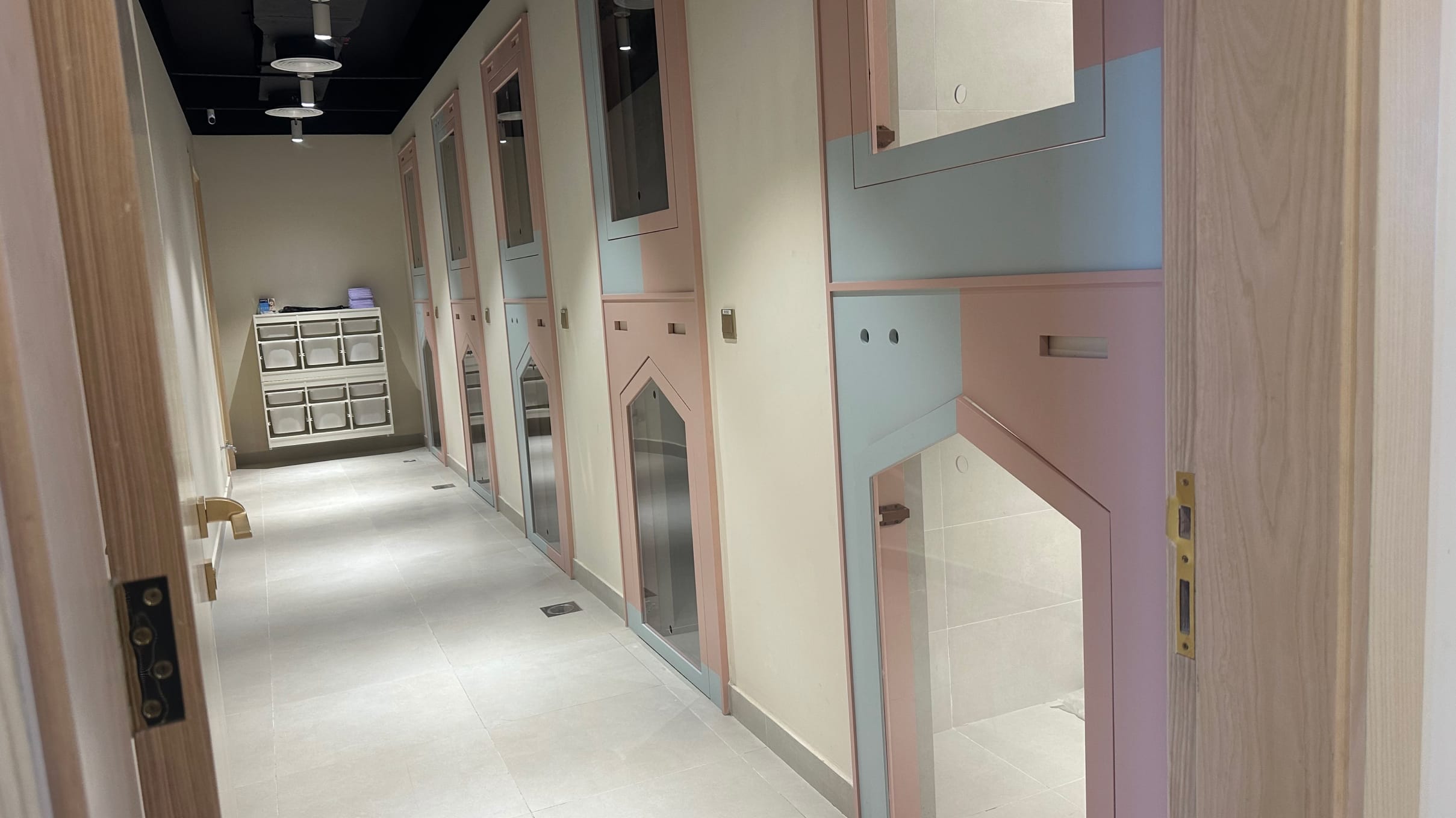 10 Tips for Stress-Free Pet Boarding at Pet Pavilion Abu Dhabi | Pet ...