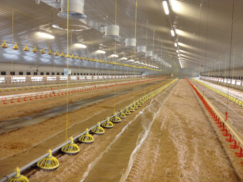 SecurCom Solar | Solar Specialist |About Us