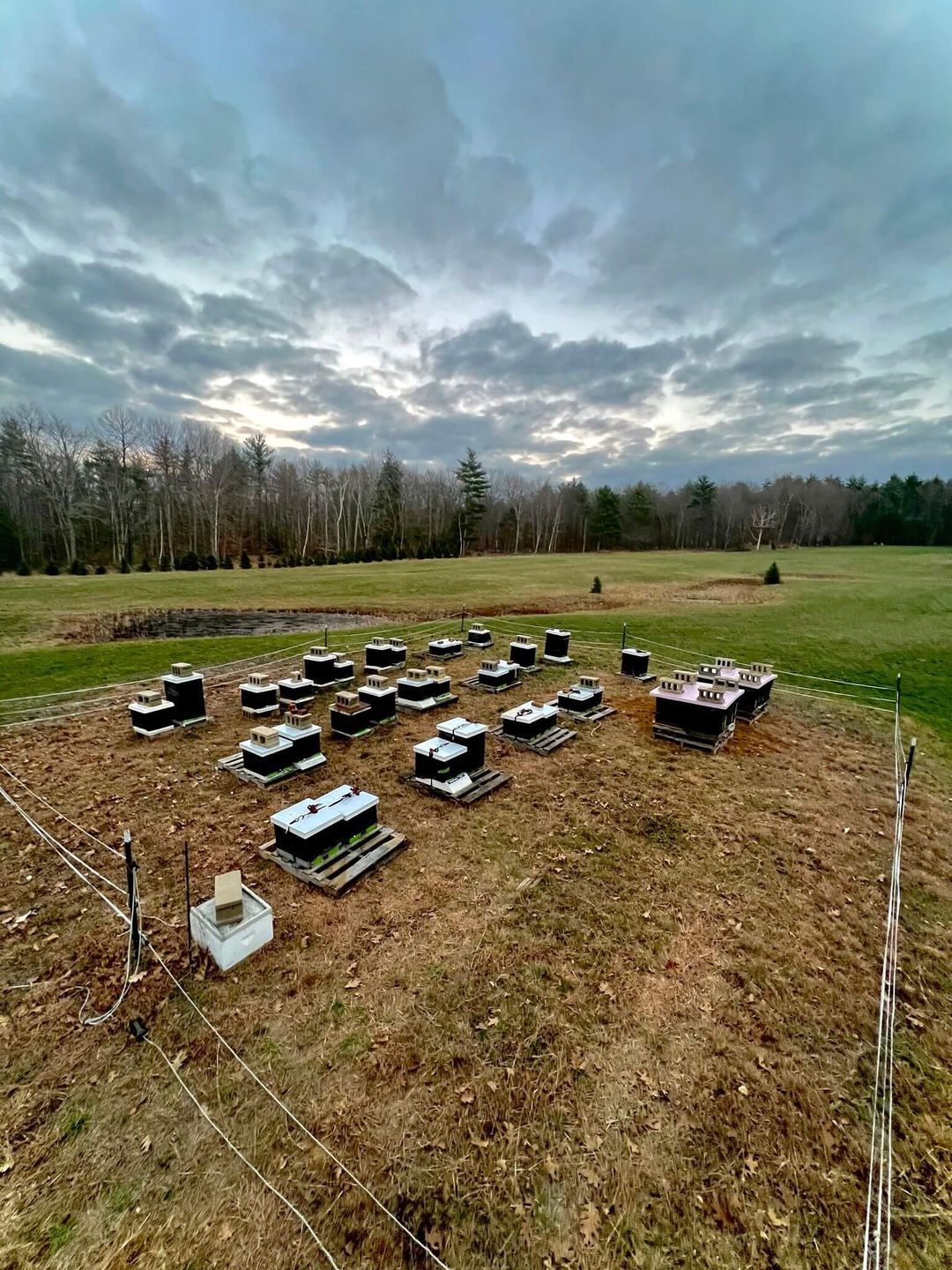 New Hampshire Beekeepers Association 🐝