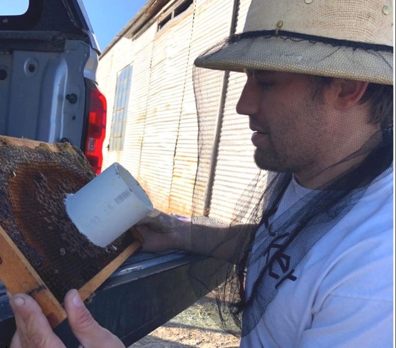 Project Apis m. 🐝 New Hampshire Beekeepers Association