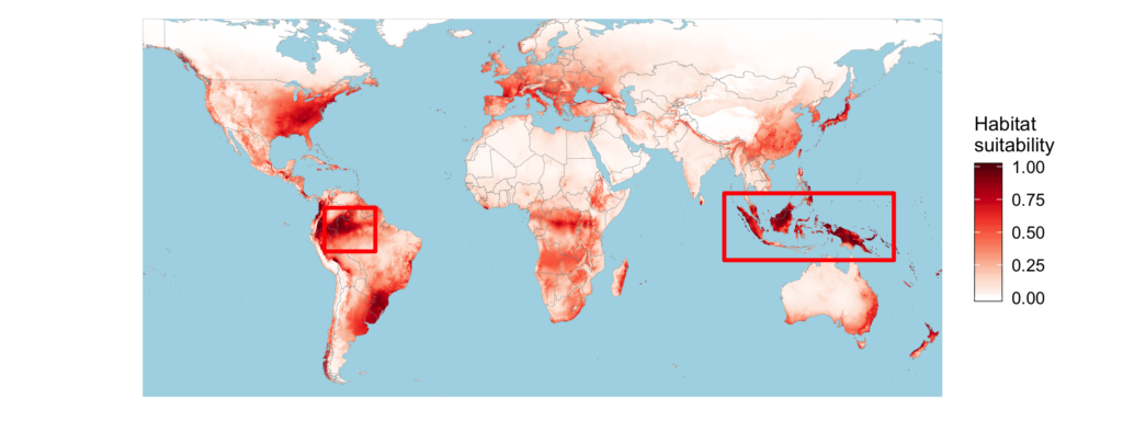 Are you ready for the 2022 Stink Bug Season? | Explorate