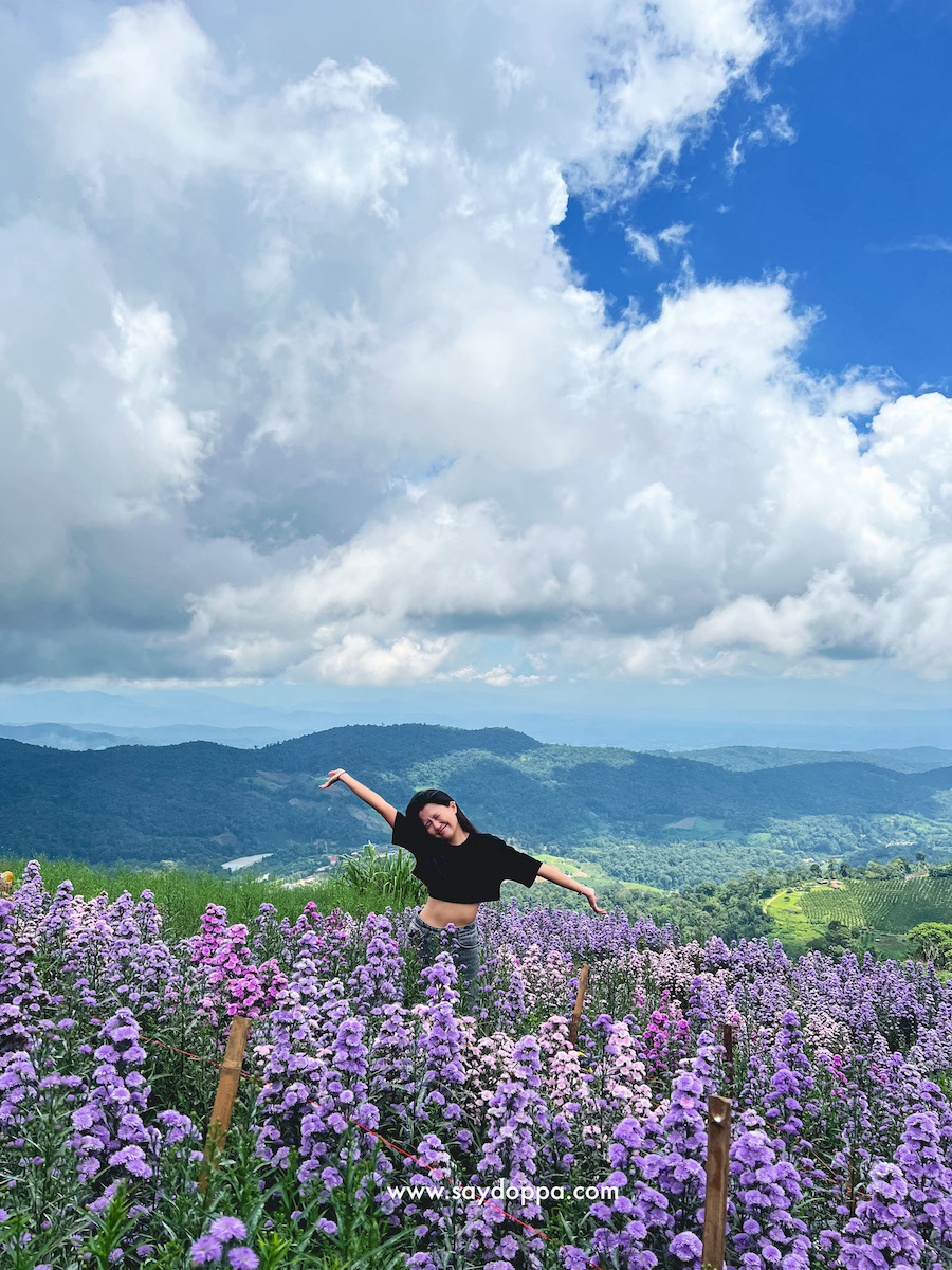 Best Things To Do in Mae Rim, Chiang Mai (Thailand Travel Guide)