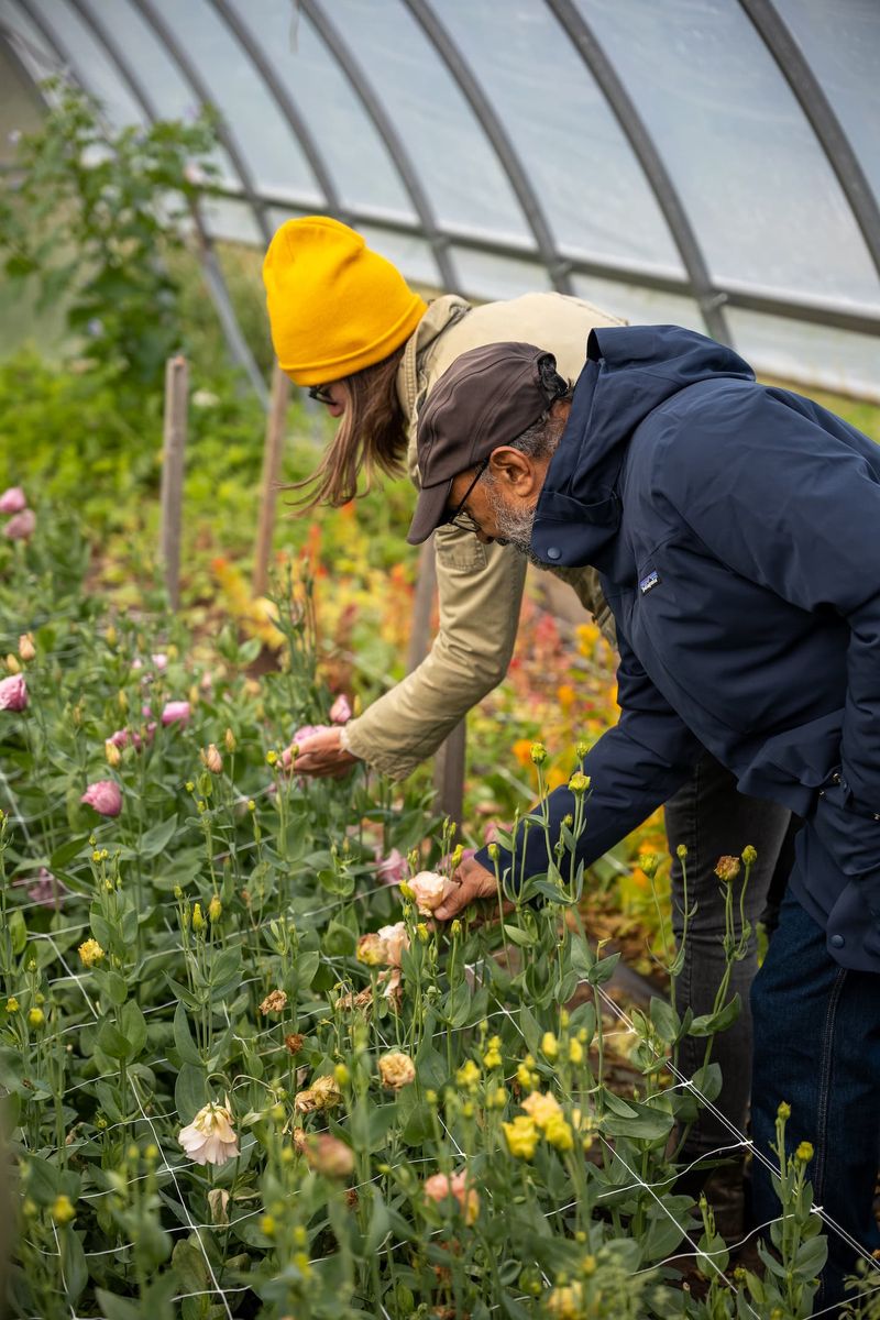 Home | Explore your interests in the Annapolis Valley with practitioner ...