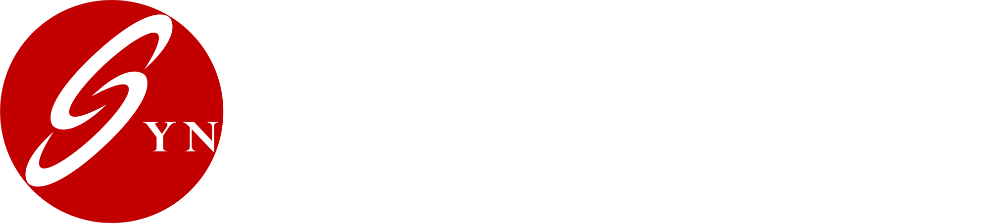 Synergy Asset Management | Enhancing Wealth in Geneva - From Data to ...