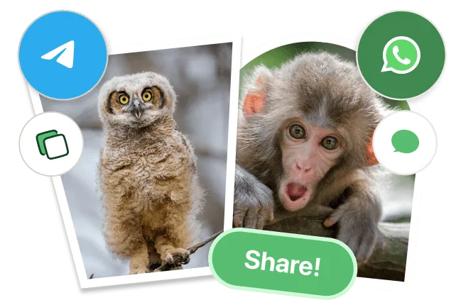 Stickers: design, personalize and share them! - WHATSTICKER