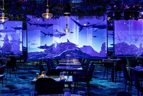 Jungle Palace - Ephemera