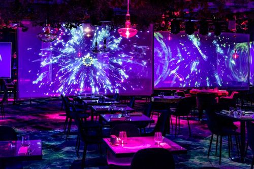 Jungle Palace - Ephemera