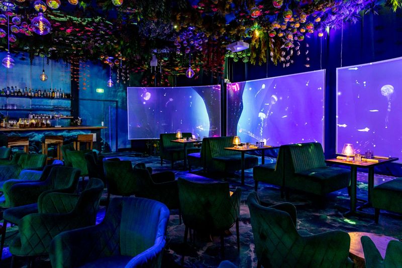 Jungle Palace - Ephemera