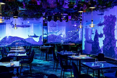 Jungle Palace - Ephemera