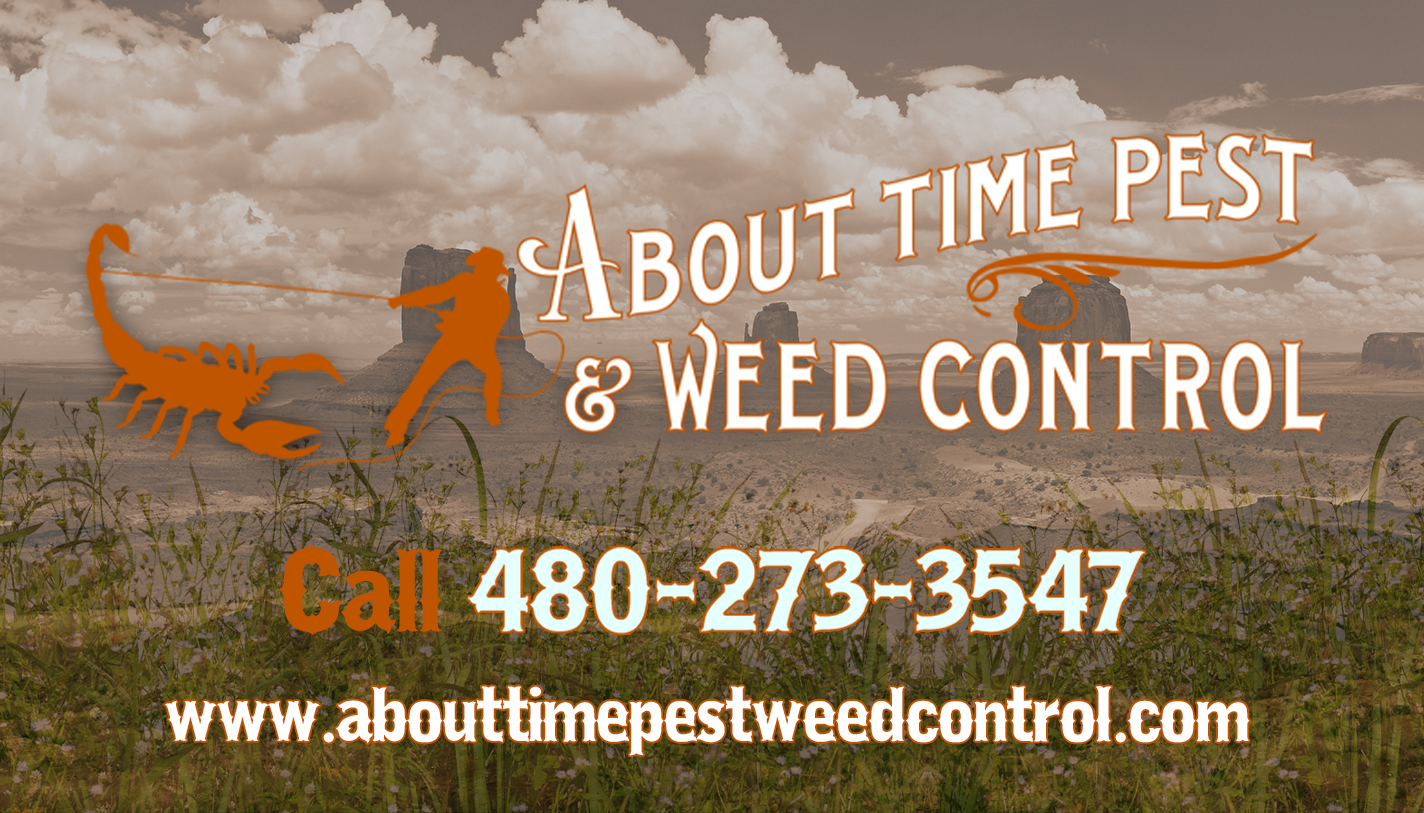 About Time Weed Control | Professional Weed Management Services