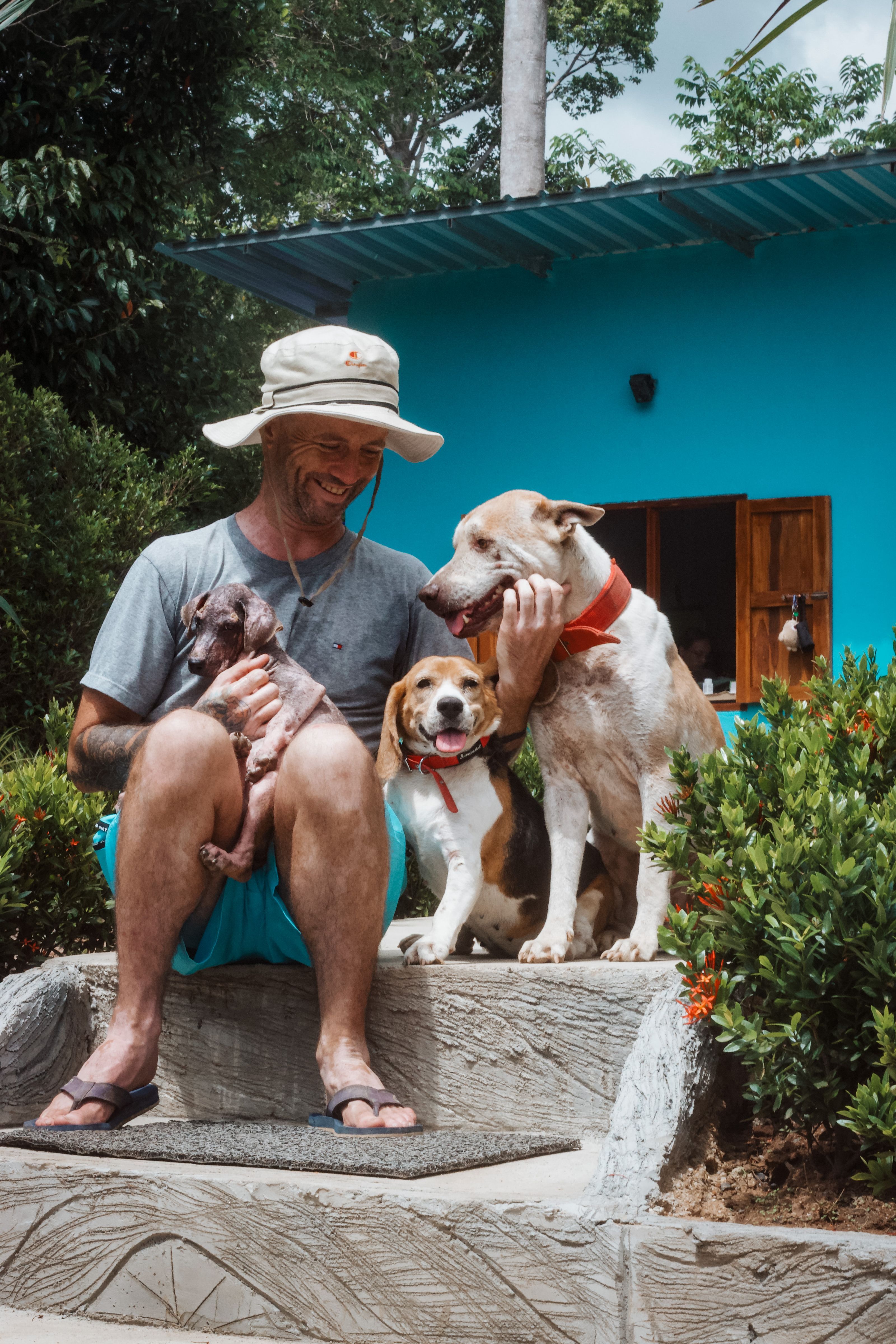 Happy Doggo | Fixing the global street dog problem