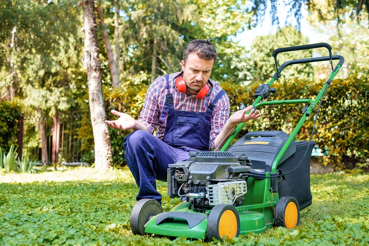 Illawarra Yard Maintenance - Lawn Mowing & Garden Services in Wollongong & Shellharbour