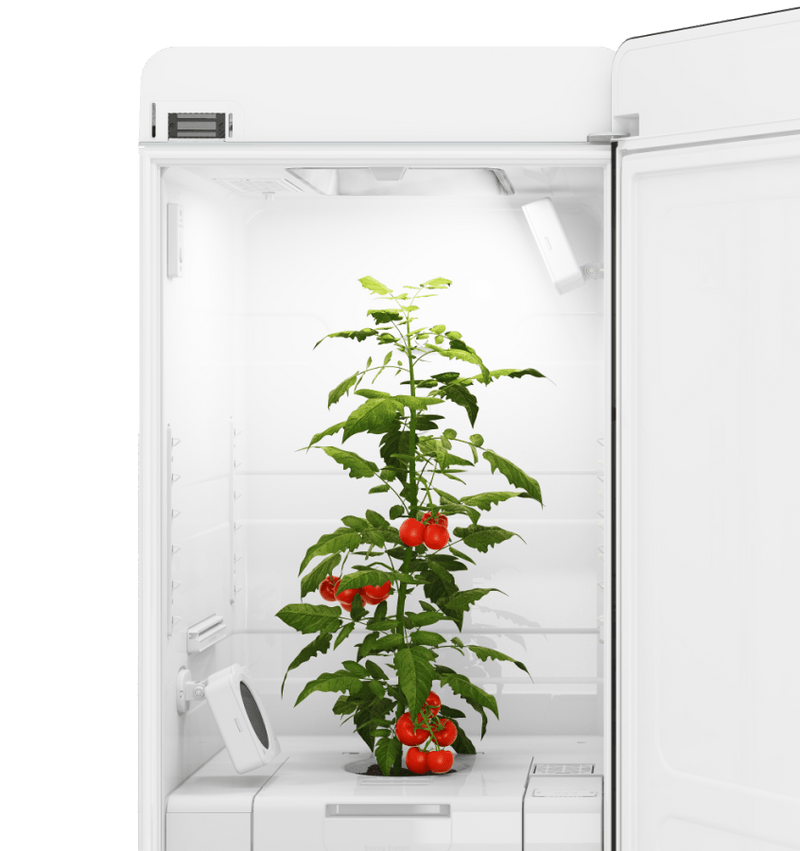 LEAF - Automated Hydroponic Home Grow System