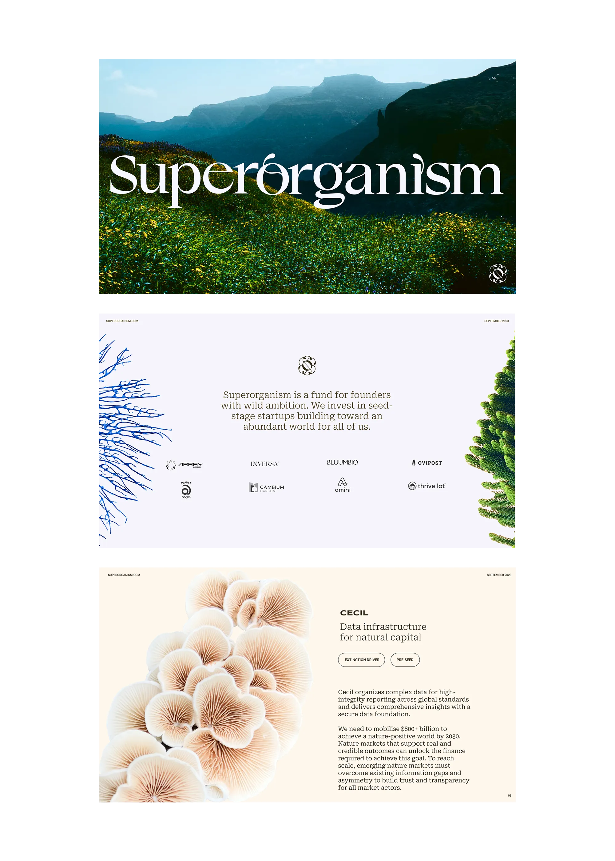 Superorganism → Goodside