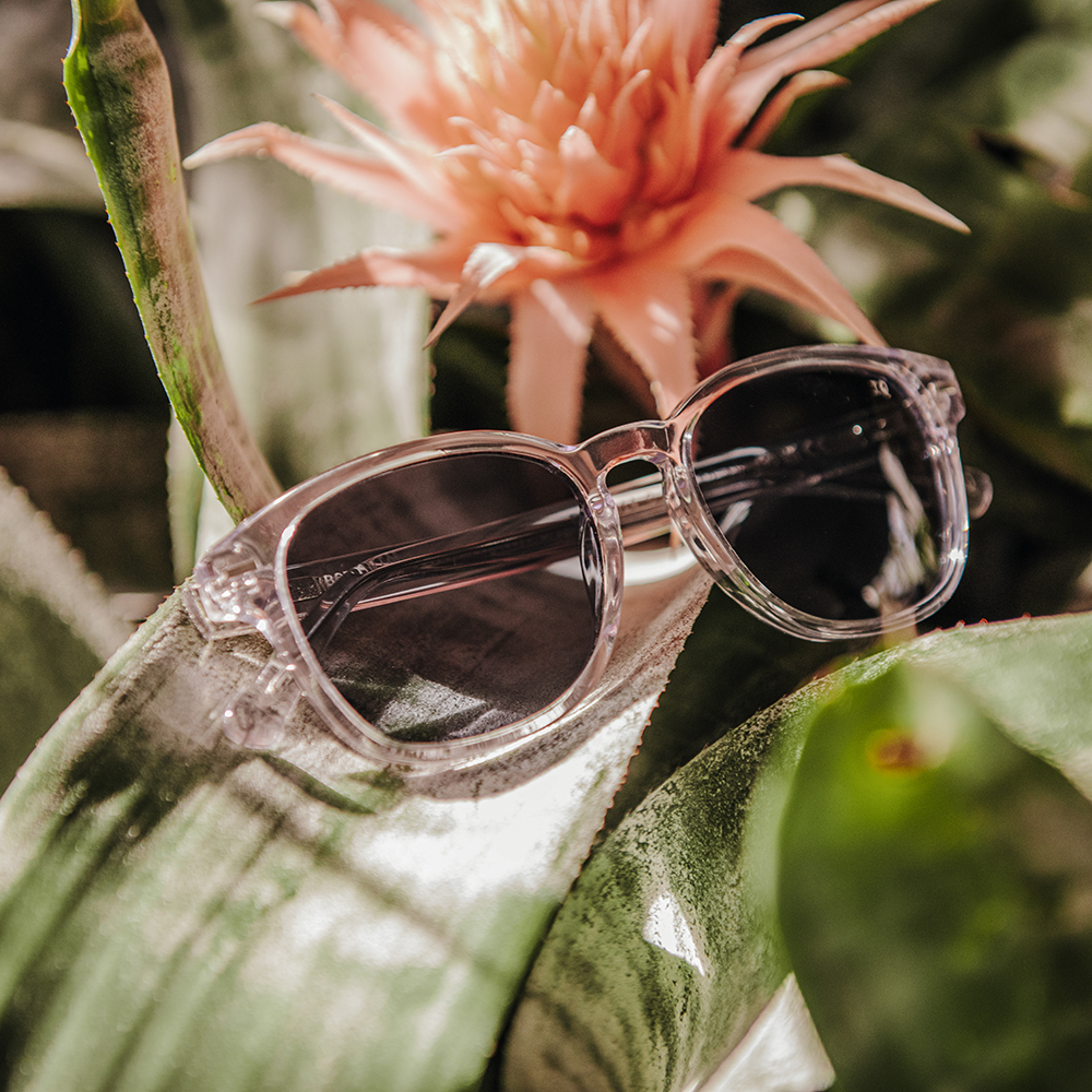 Botaniq | Phoenix Eyewear