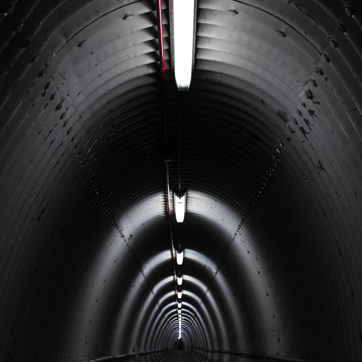 Fusion Fire Protection Sydney Services