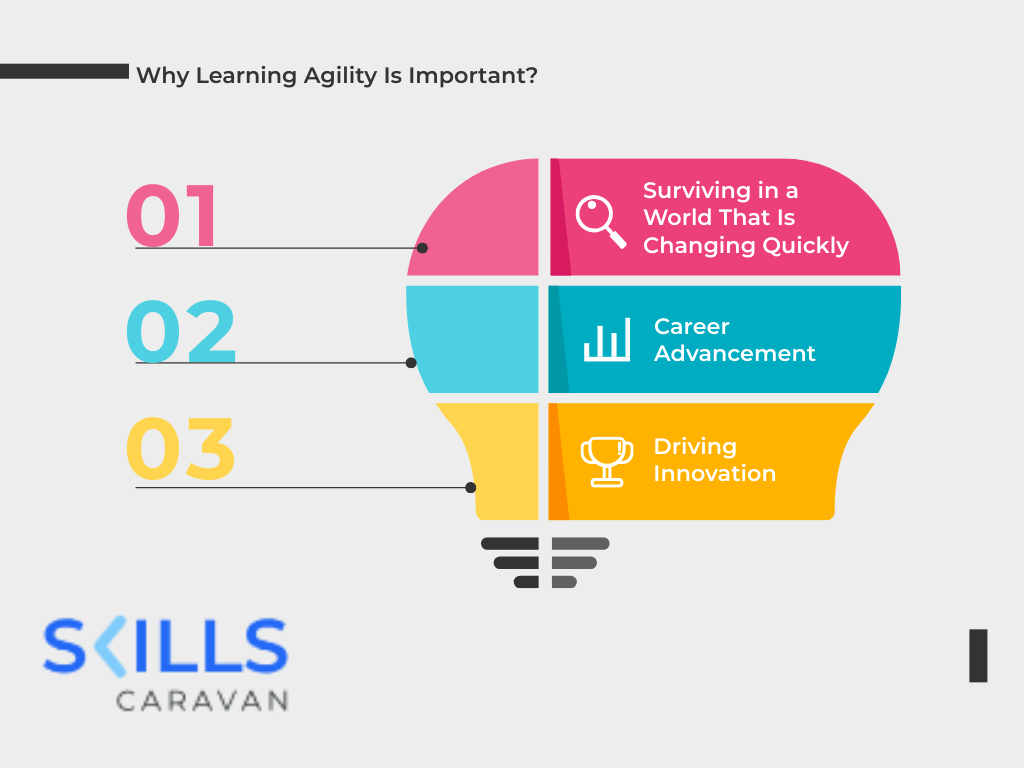 Unlocking Learning Agility: Meaning, Advantages, and Employee Strategies