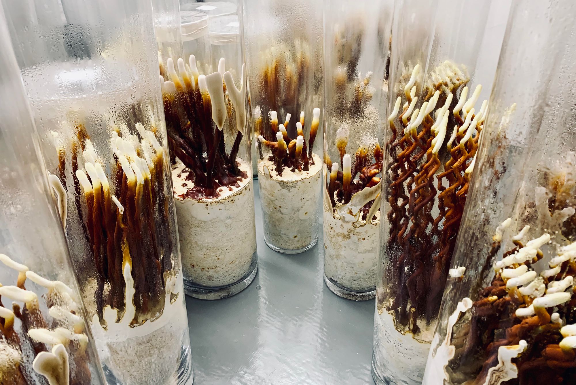 Design Research Studio