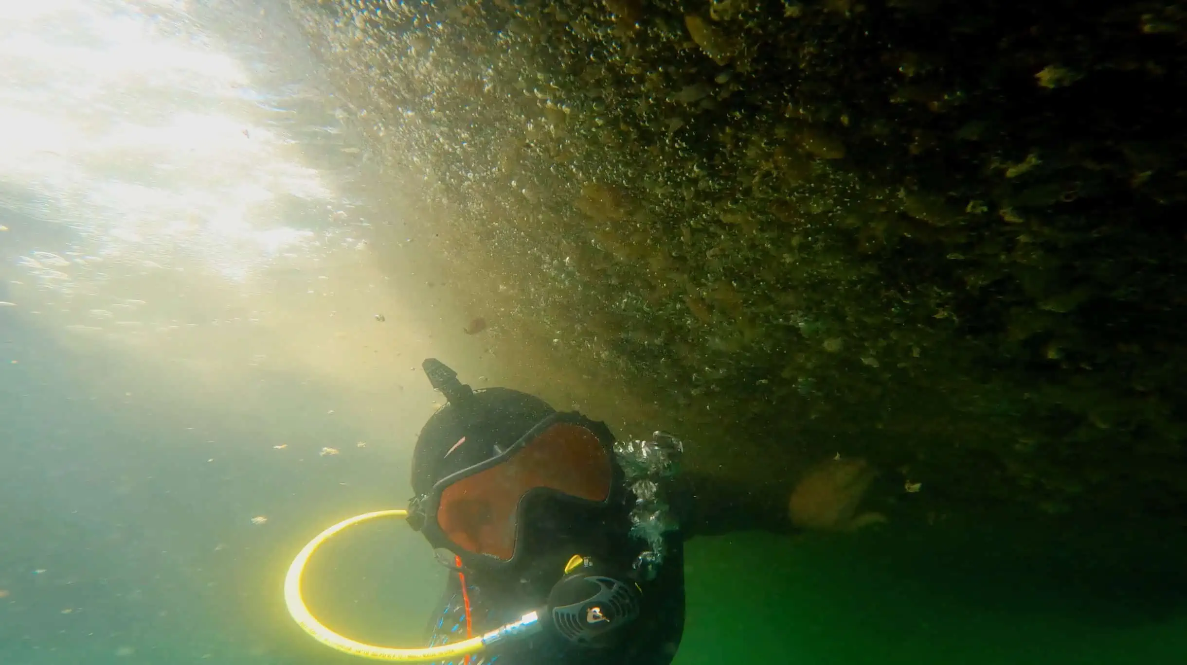 Search and Recovery - Scout Dive Service