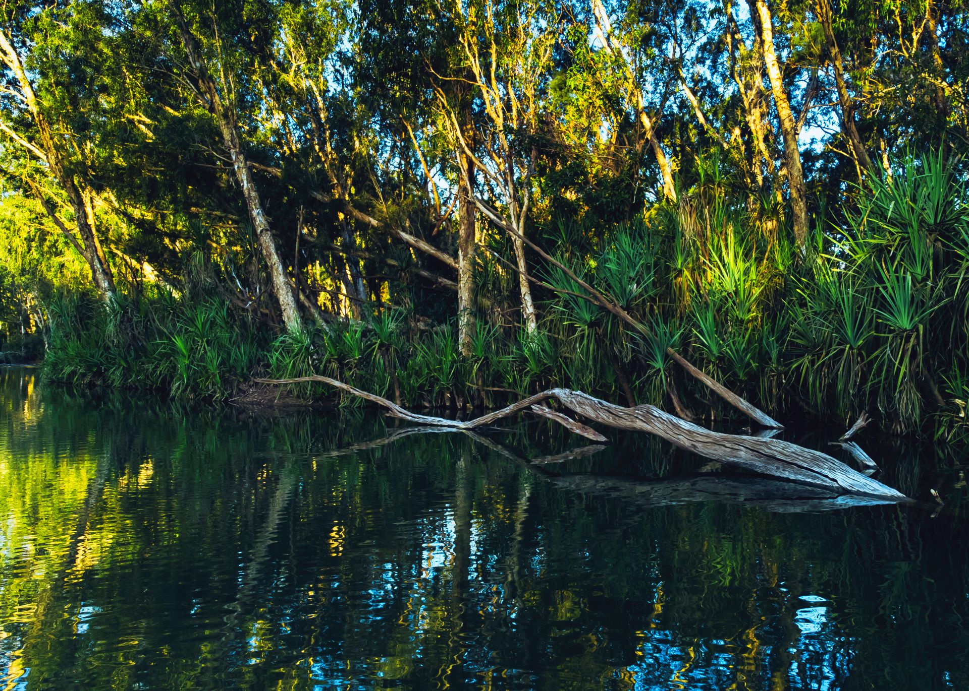 Roper Bar Park & Store - Adventure Australia Tours