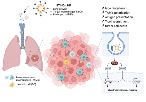 Inhaled chemotherapy for lung cancer
