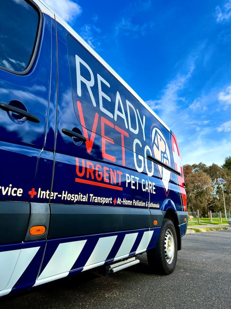 Emergency Vet Ambulance & Mobile Vet Care - Home