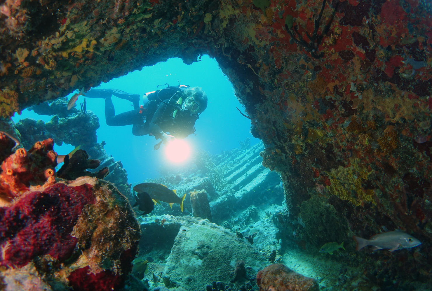 The Best Dive Sites in The British Virgin Islands | Code Zero Yachts