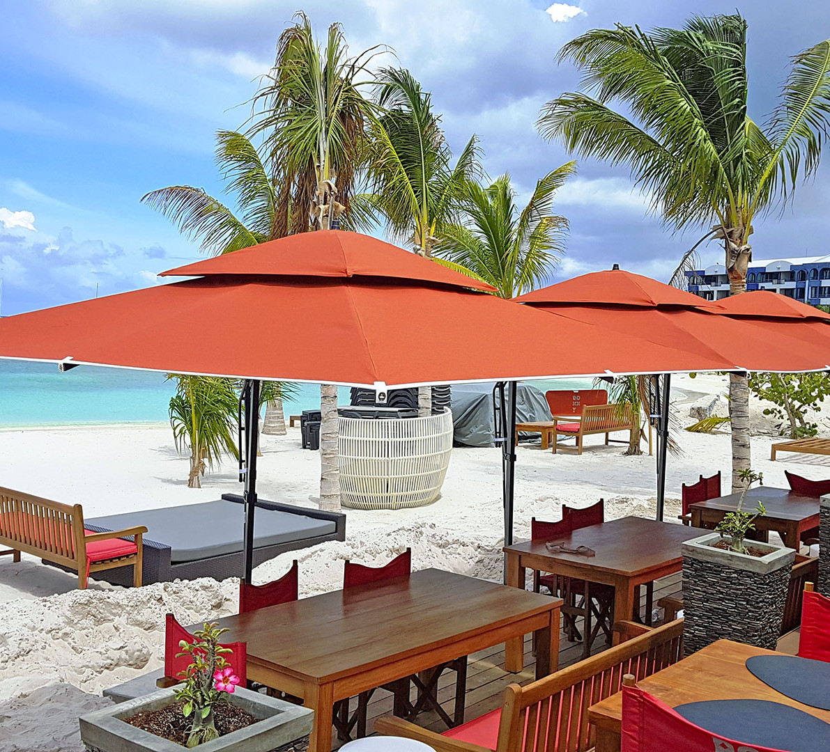 The Top 10 Caribbean Beach Bars | Code Zero Yachts