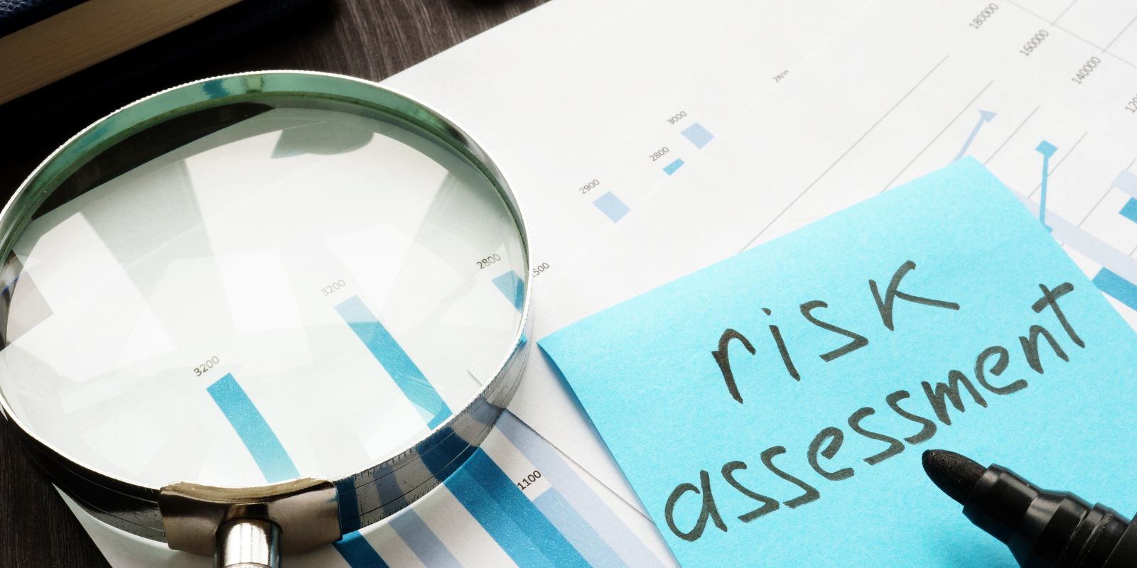 Cybersecurity Risk Assessment | Case Studies | Hale Consulting ...