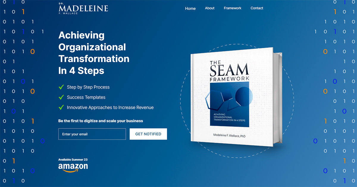 The SEAM Framework for organizational transformation | Dr. Madeleine F ...