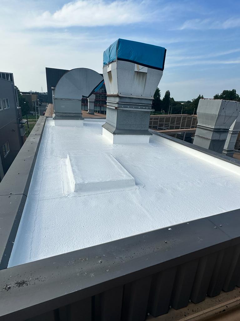 Impact van Witte Dakcoating op het milieu: Nederland & New York